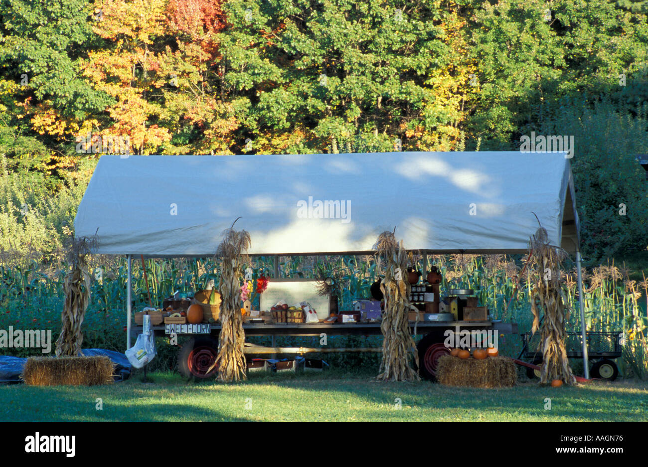 Nashoba hi-res stock photography and images - Alamy