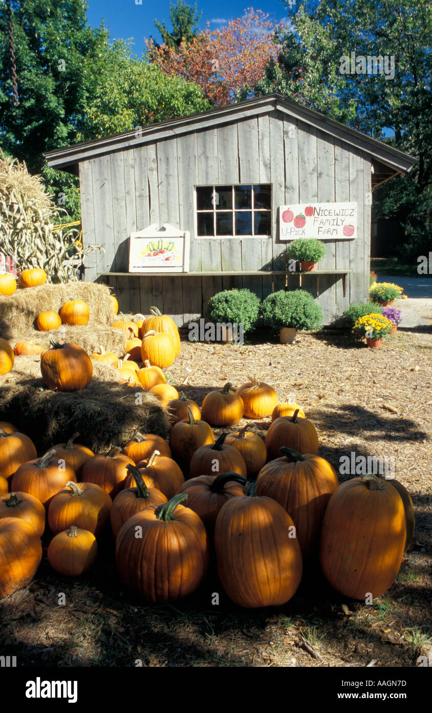 Nicewicz farm hi-res stock photography and images - Alamy