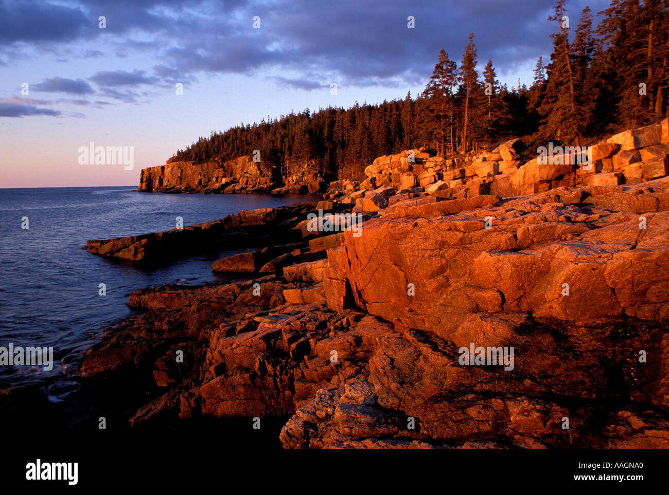 Sunrise otter cliff acadia national hi-res stock photography and images ...