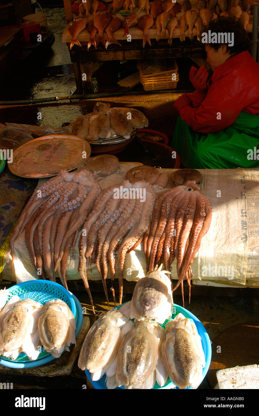 Squid cuttlefish south korea hi-res stock photography and images - Alamy