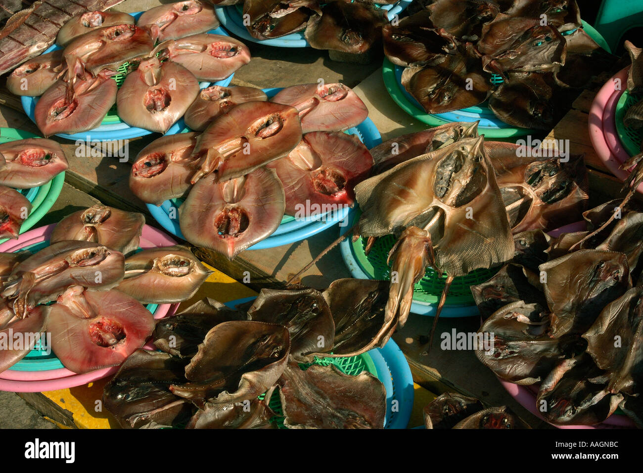 Dried stingrays for sale at Jagalshi seafood market Busan South Korea ...