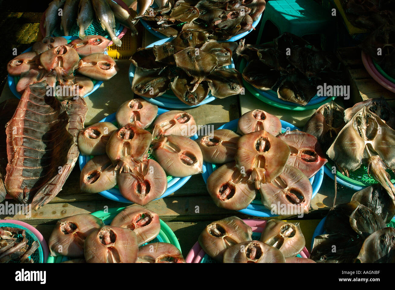 Stingray carcass hi-res stock photography and images - Alamy