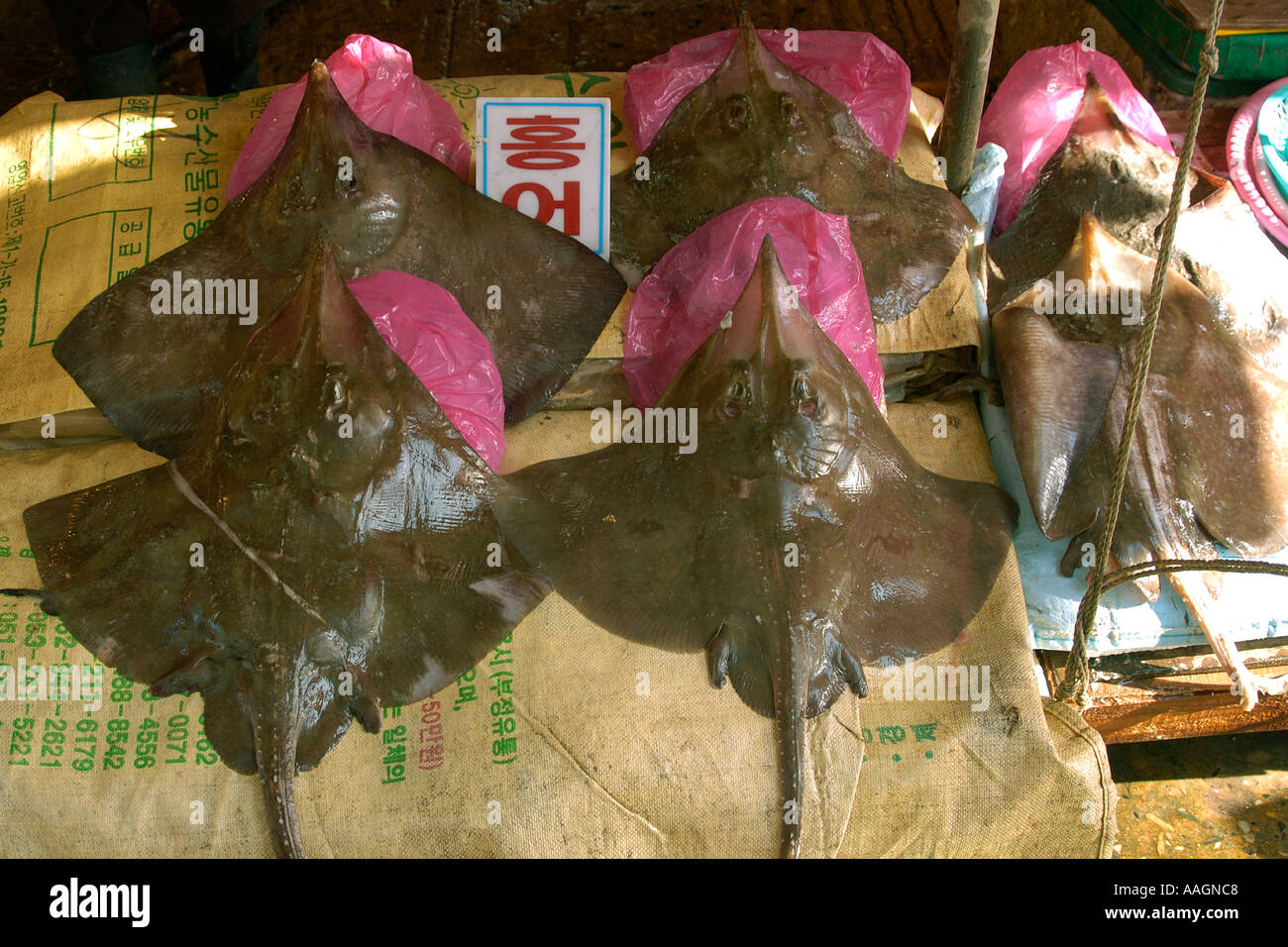 Skate fish korea hi-res stock photography and images - Alamy