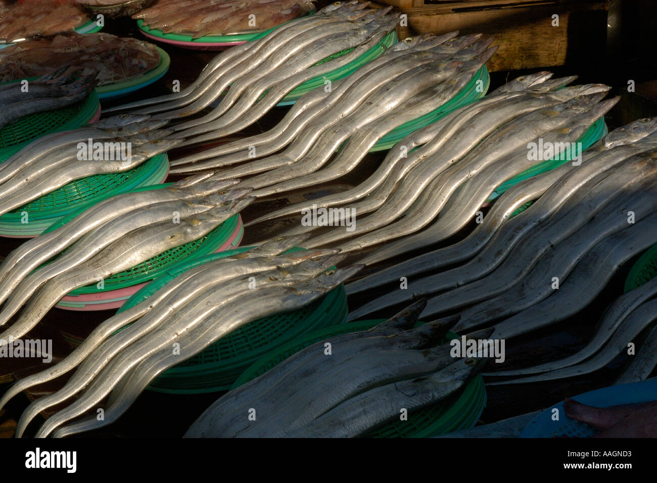 Largehead hairtail hi-res stock photography and images - Alamy