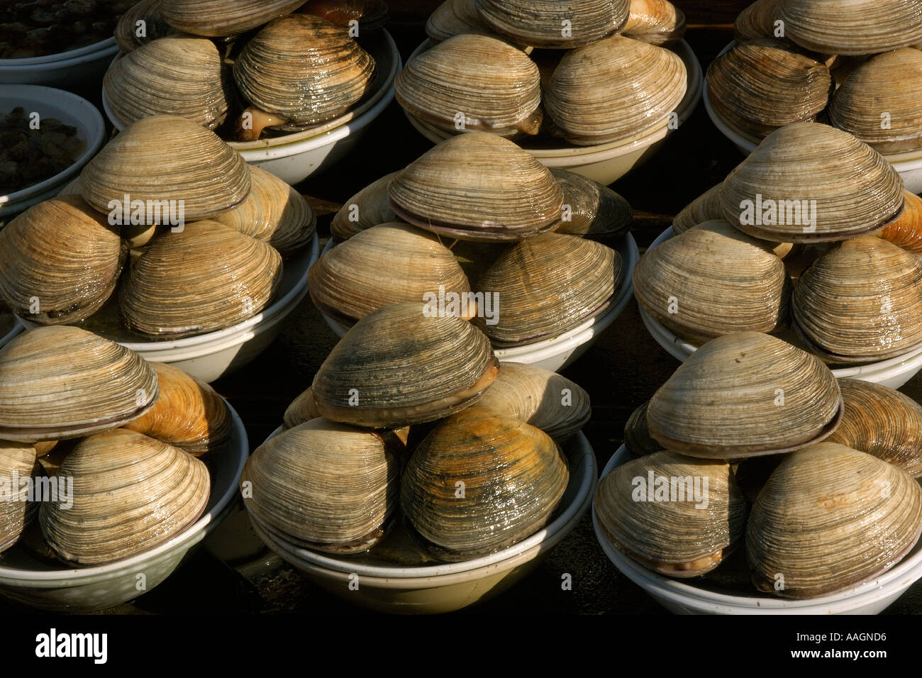 Dead bivalves hi-res stock photography and images - Alamy