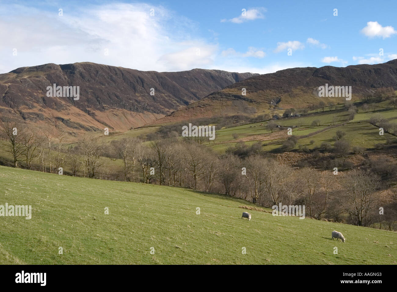 High Spy and Dale Head, between Buttermere and Keswick, The Lake ...