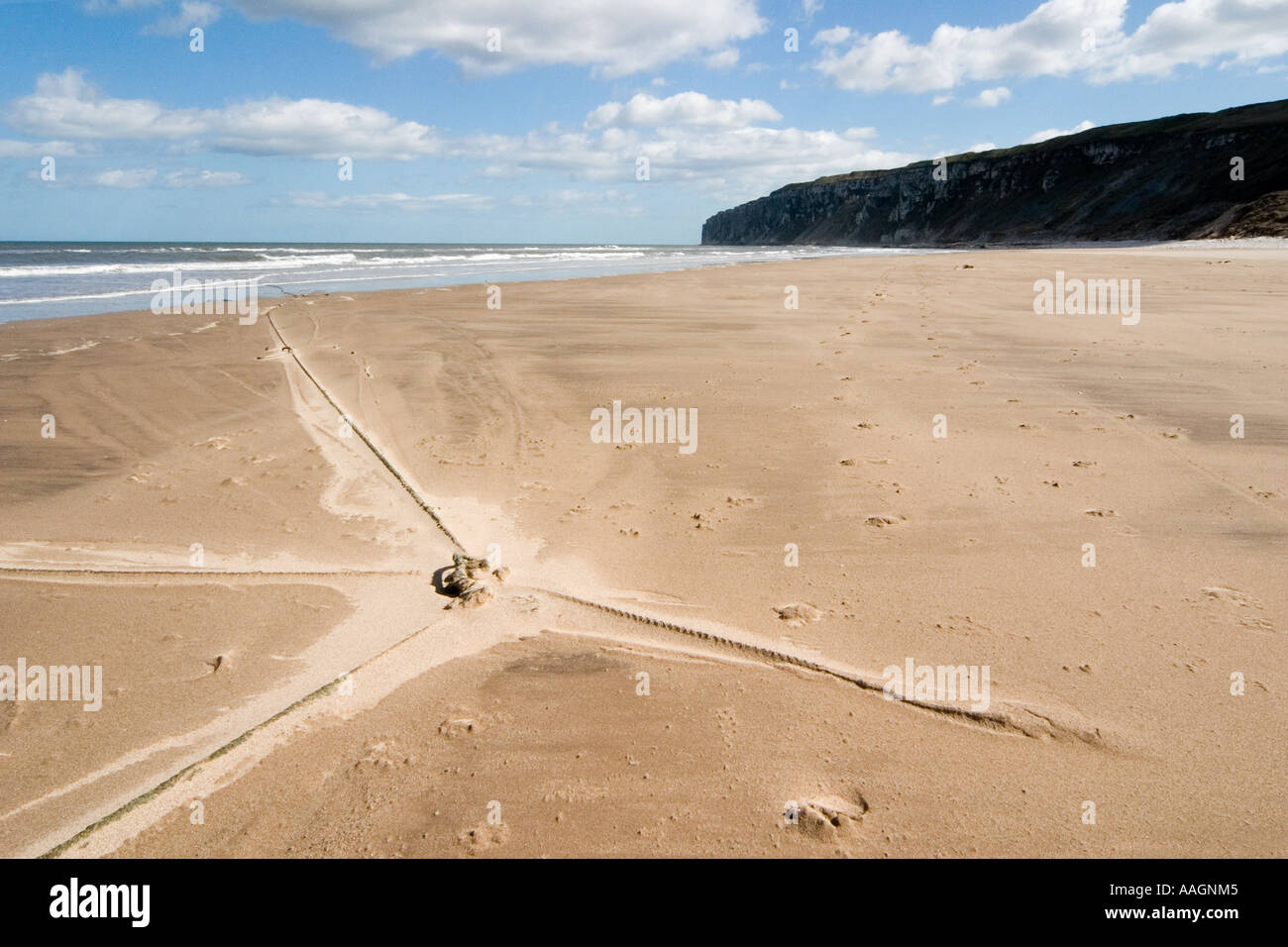Yorkshire speeton cliffs hi-res stock photography and images - Alamy