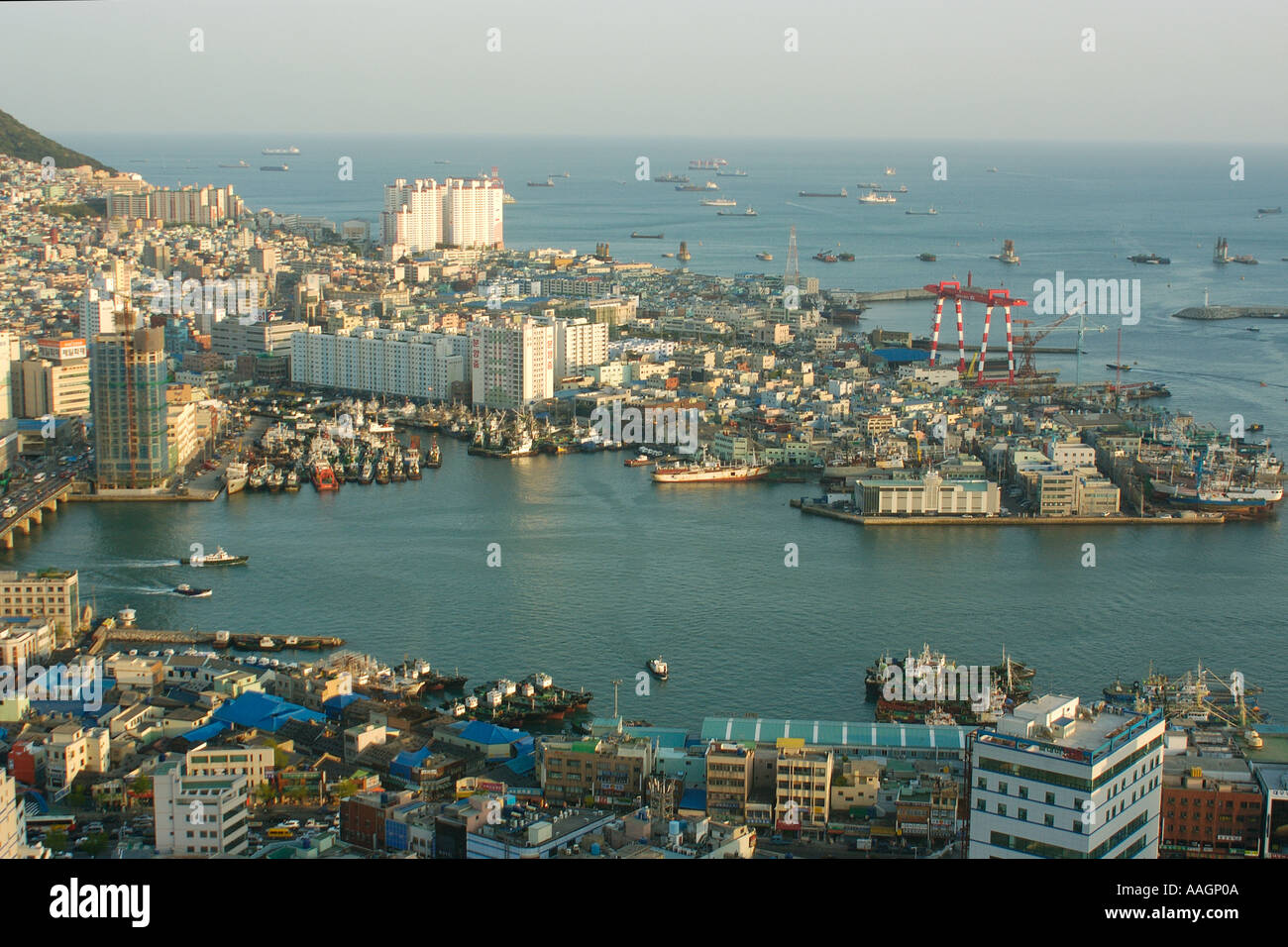 Yeongdo island busan hi-res stock photography and images - Alamy