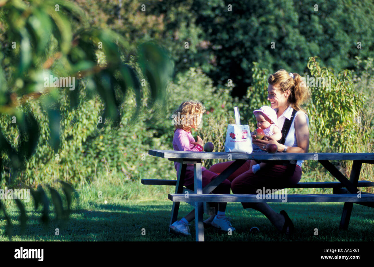 Bolton MA USA A mom and her kids enjoy a day at the Nicewicz Farm in ...