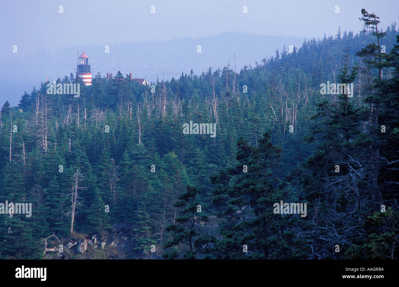 Lubec ME Quoddy Head State Park West Quoddy Head Lighthouse Easternmost ...