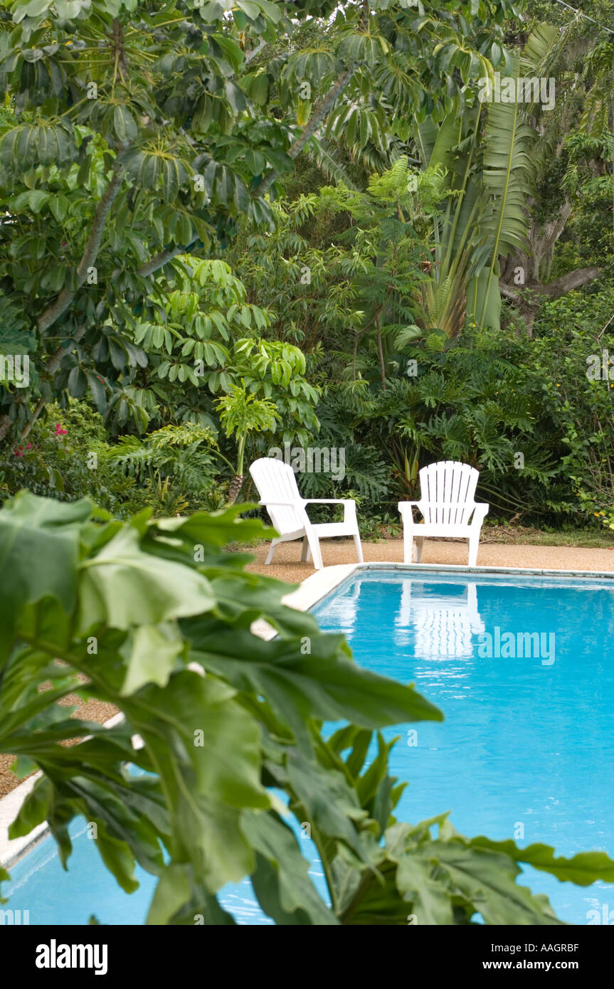 lush tropical resort pool and chairs Stock Photo - Alamy