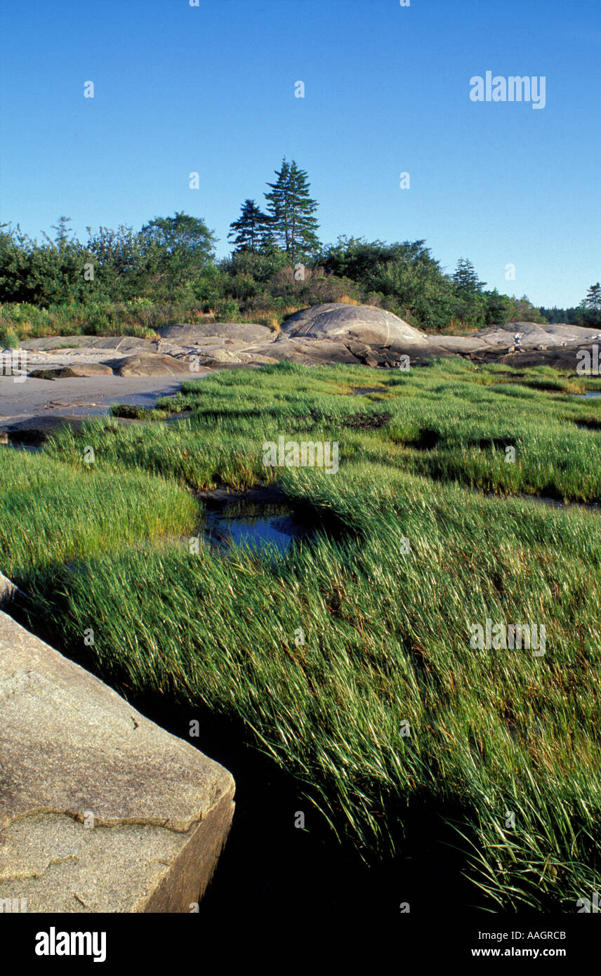 Clark island maine hi-res stock photography and images - Alamy