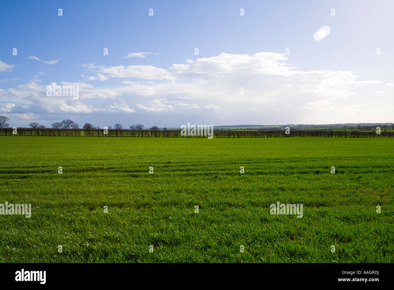 Summer cambridge beautiful scenery hi-res stock photography and images ...