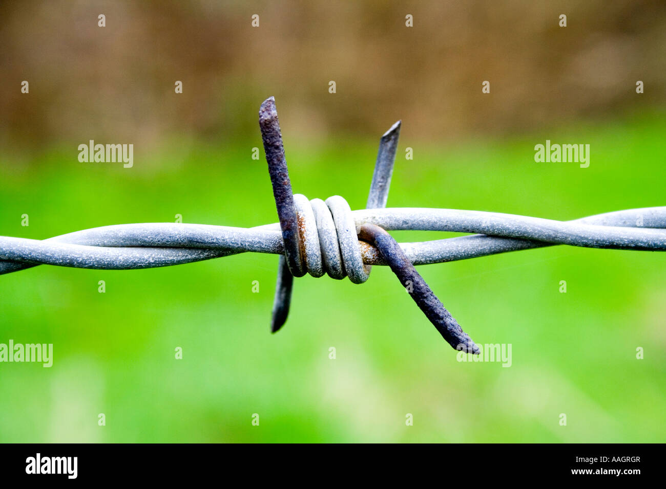 barbed wire fence Stock Photo - Alamy