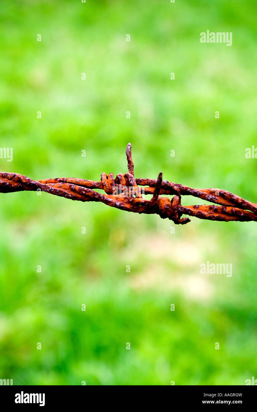 Rusty Barbed Wire Stock Photo - Alamy