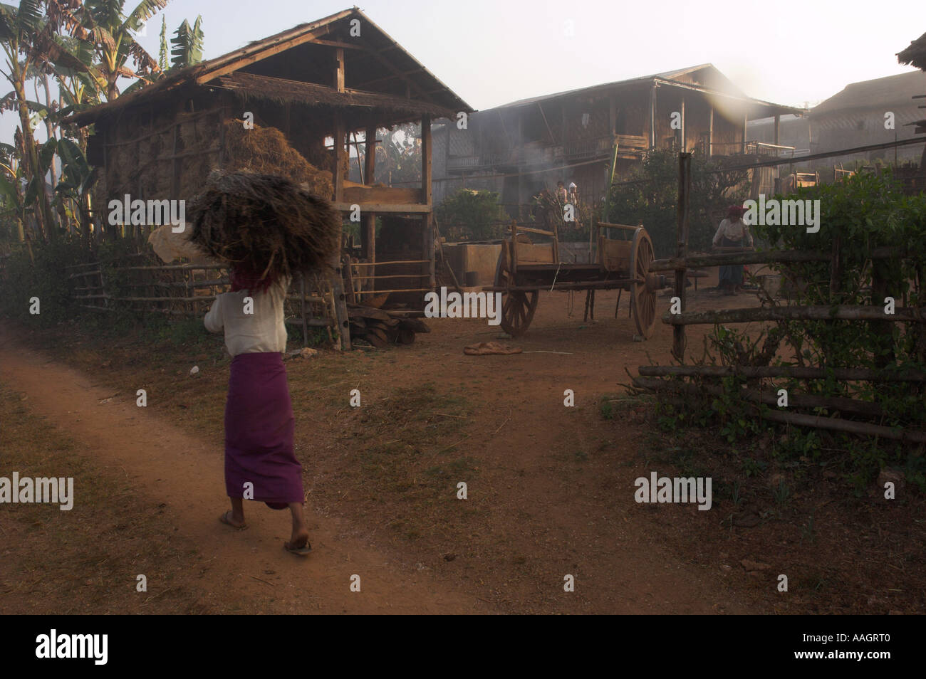 Myanmar Burma Shan State village of Pattap Poap near Inle Lake Pah oh ...