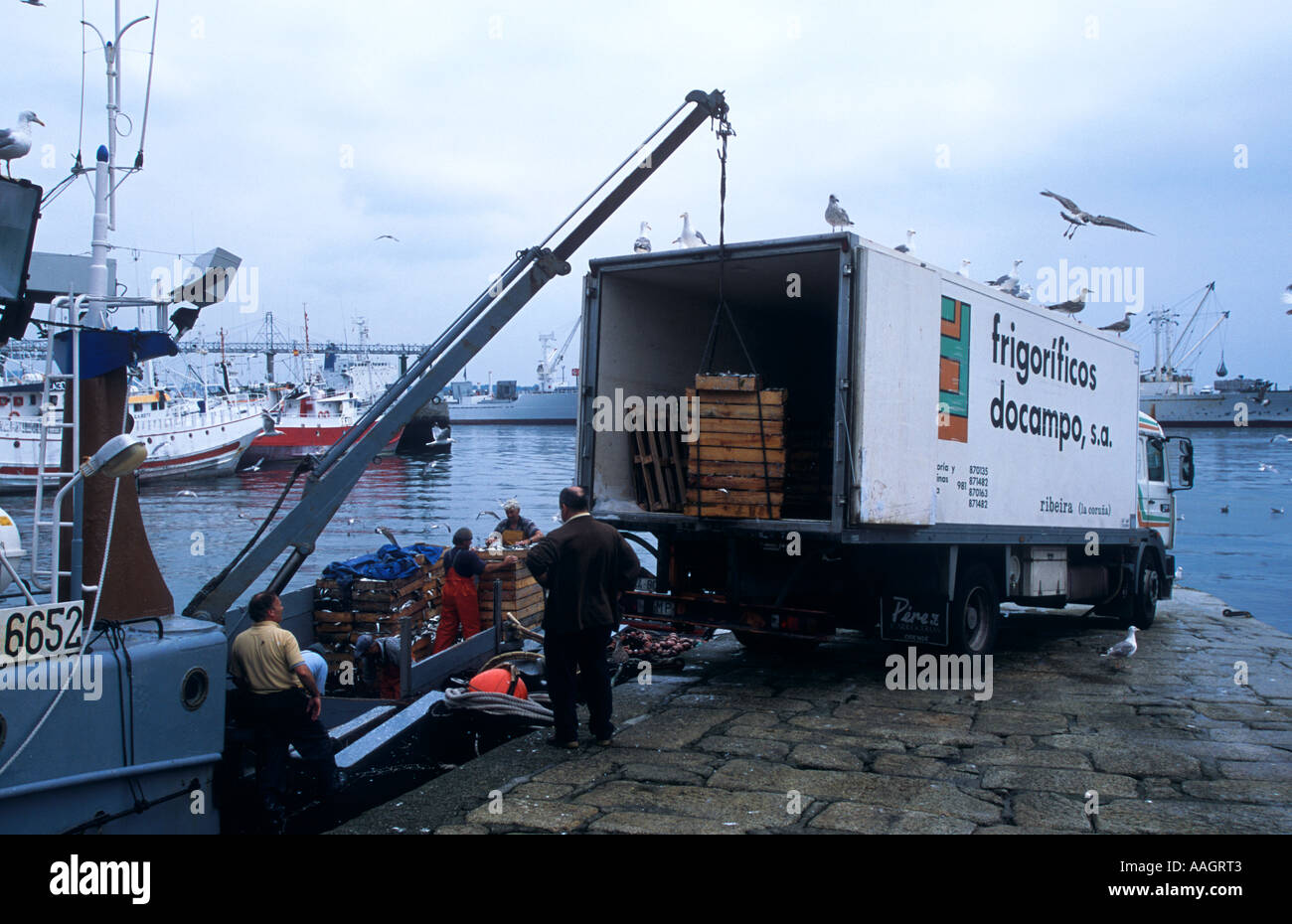 Crates of Sardines being loaded from Trawler on to Lorrey, Port of ...