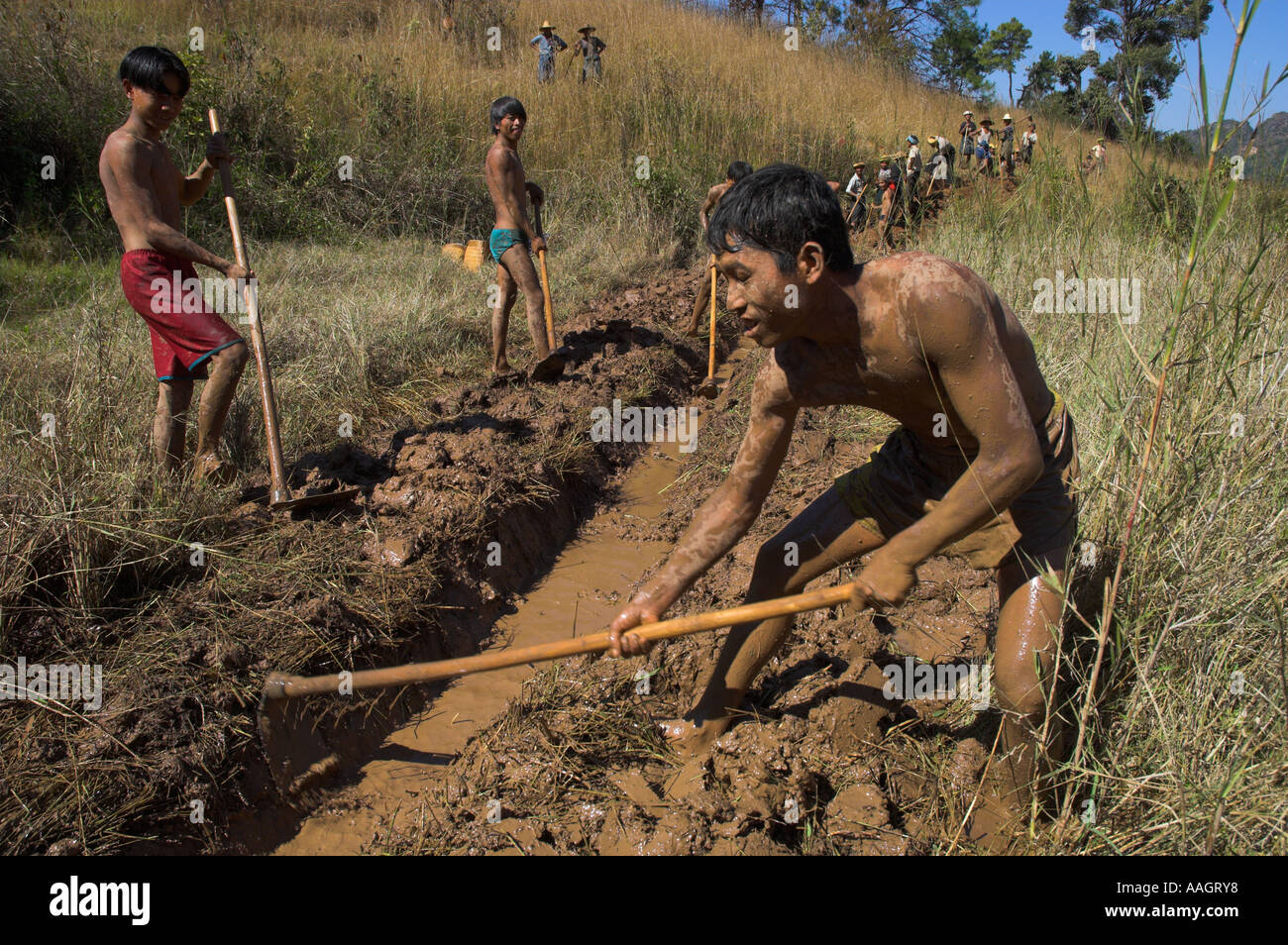 Myanmar Burma Shan State village of Pattap Poap near Inle Lake Pah oh ...