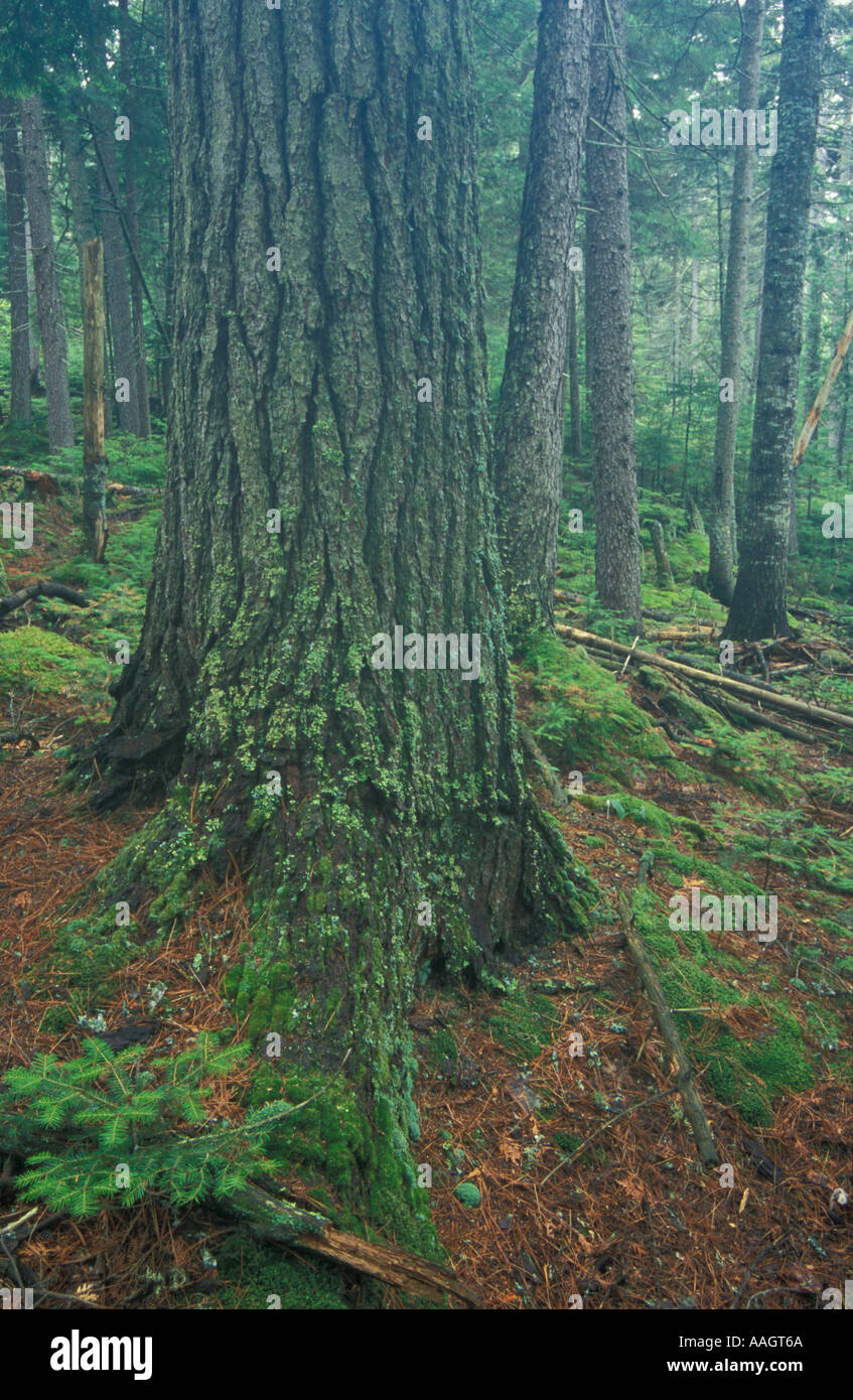 Tnc nature conservancy hi-res stock photography and images - Alamy