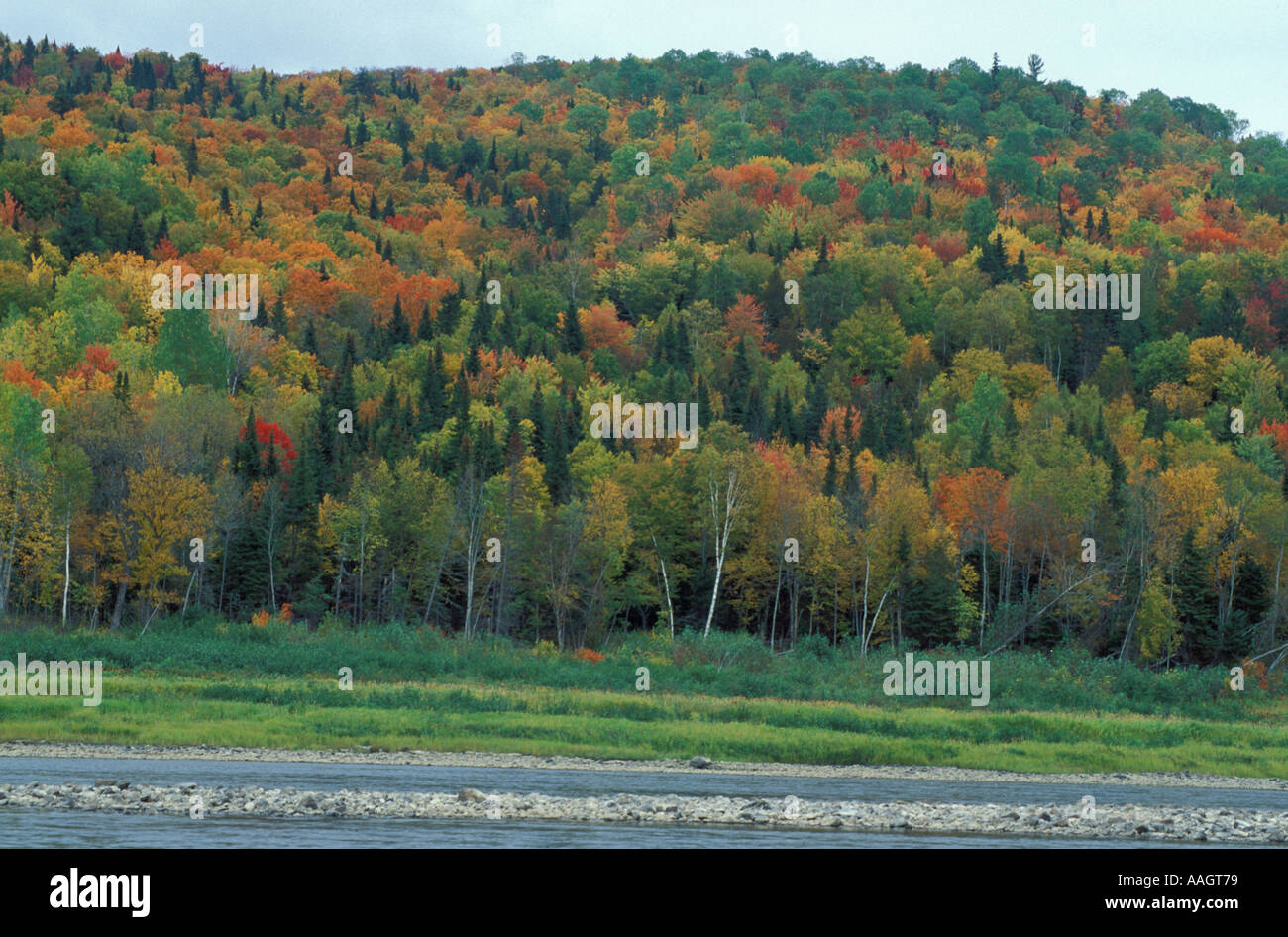 Allagash hi-res stock photography and images - Alamy