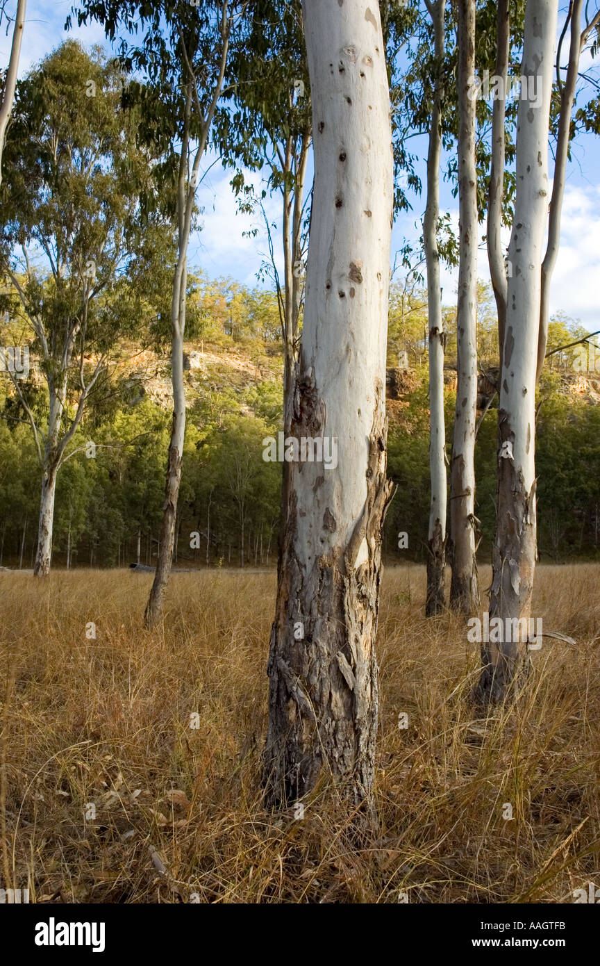 Cania Gorge central Queensland Australia 3341 Stock Photo - Alamy