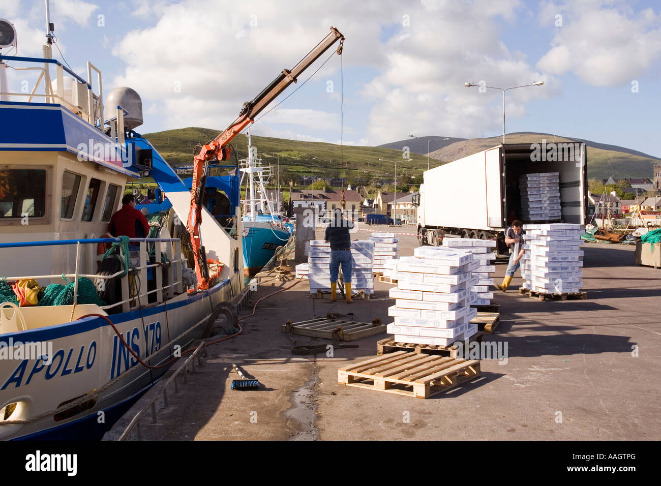 Ireland County Kerry Dingle unloading frozen whitefish onto quayside ...