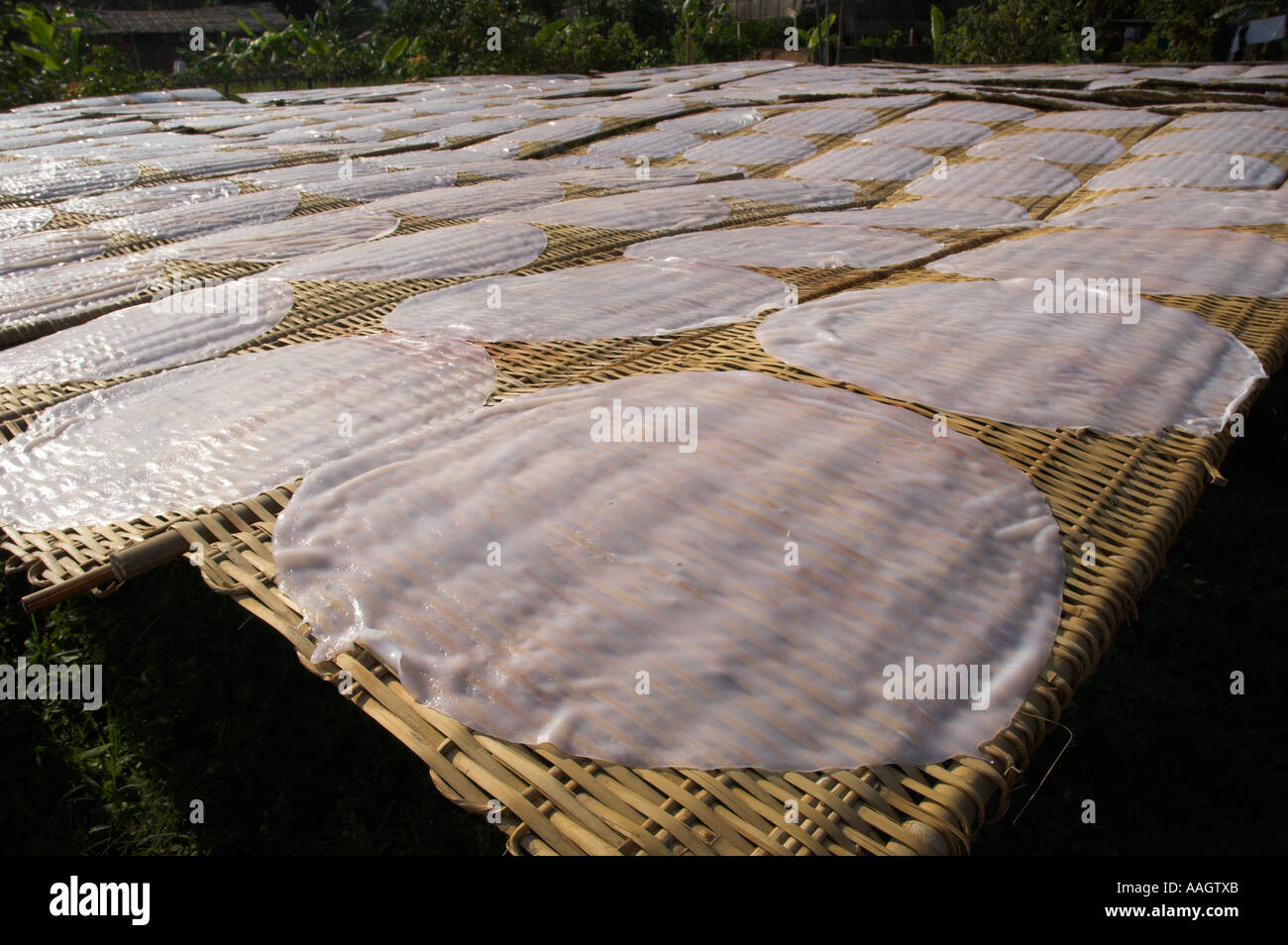 Drying rice noodle hi-res stock photography and images - Alamy