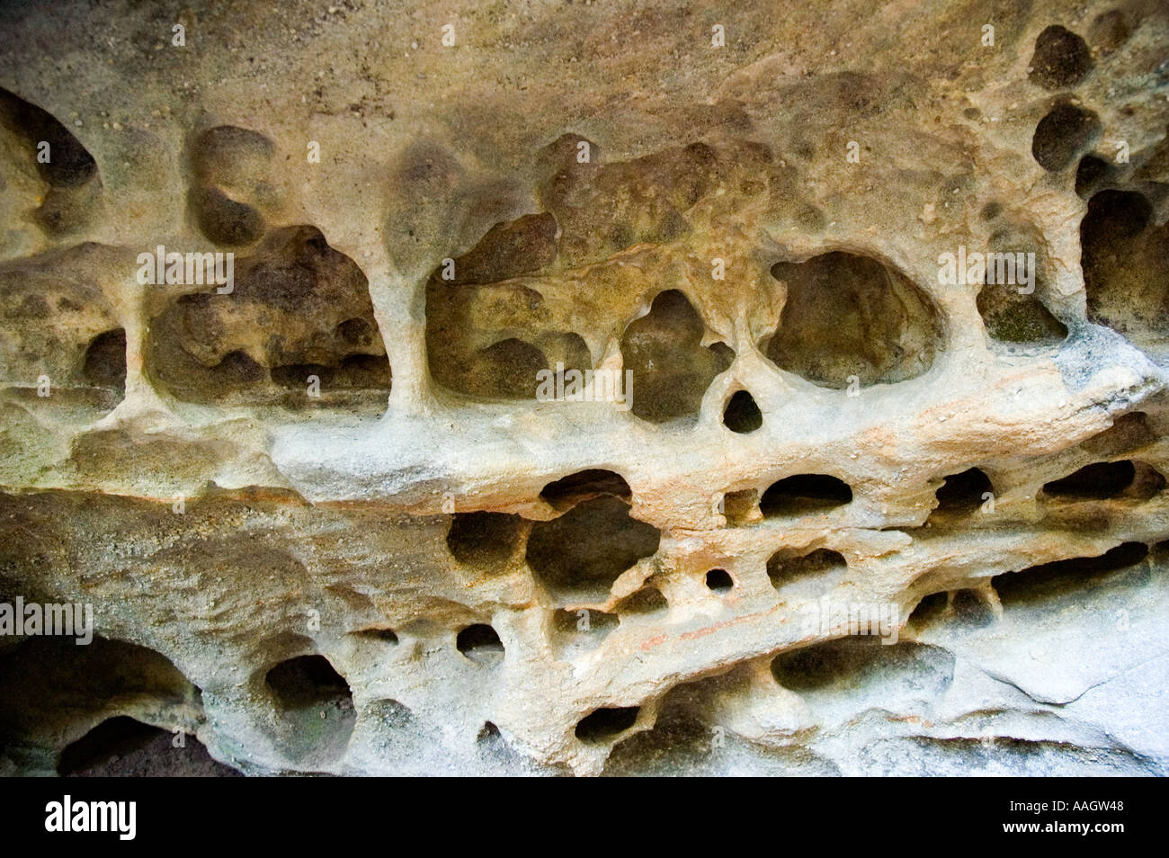 Cania Gorge central Queensland Australia 3394 Stock Photo - Alamy