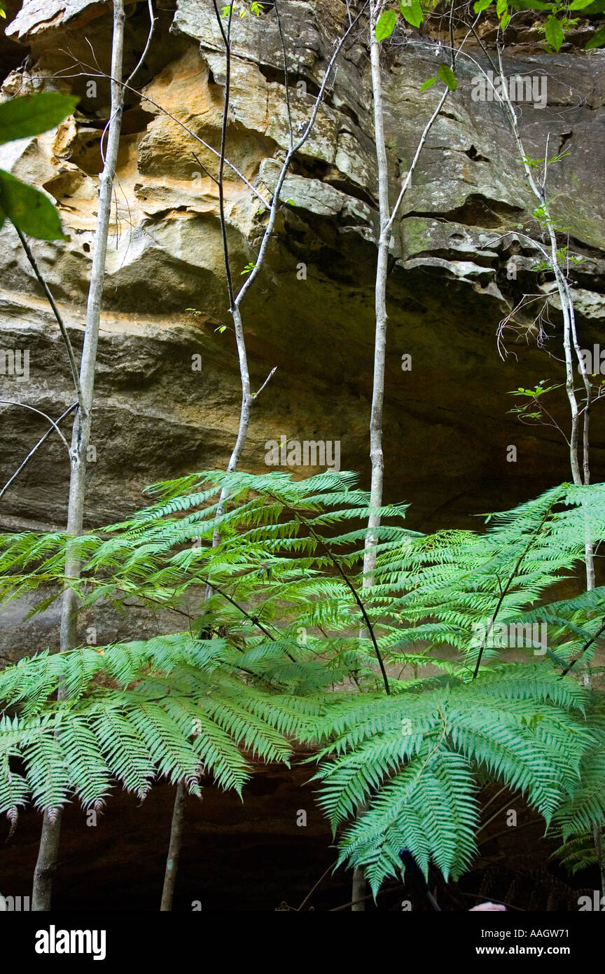 Cania gorge rock hi-res stock photography and images - Alamy