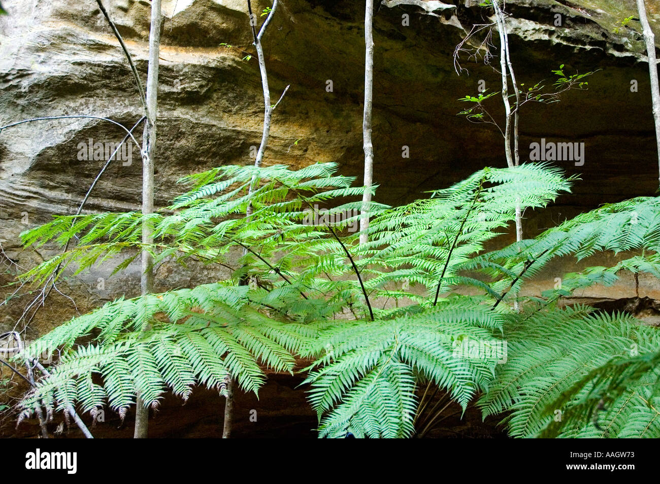 3424 hi-res stock photography and images - Alamy