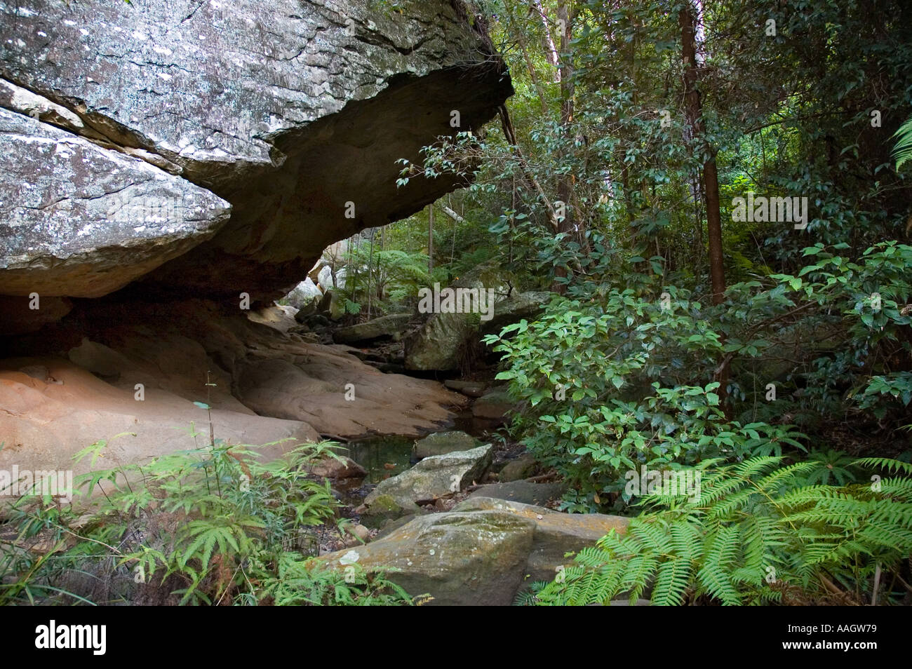 Cania Gorge Rock High Resolution Stock Photography and Images - Alamy