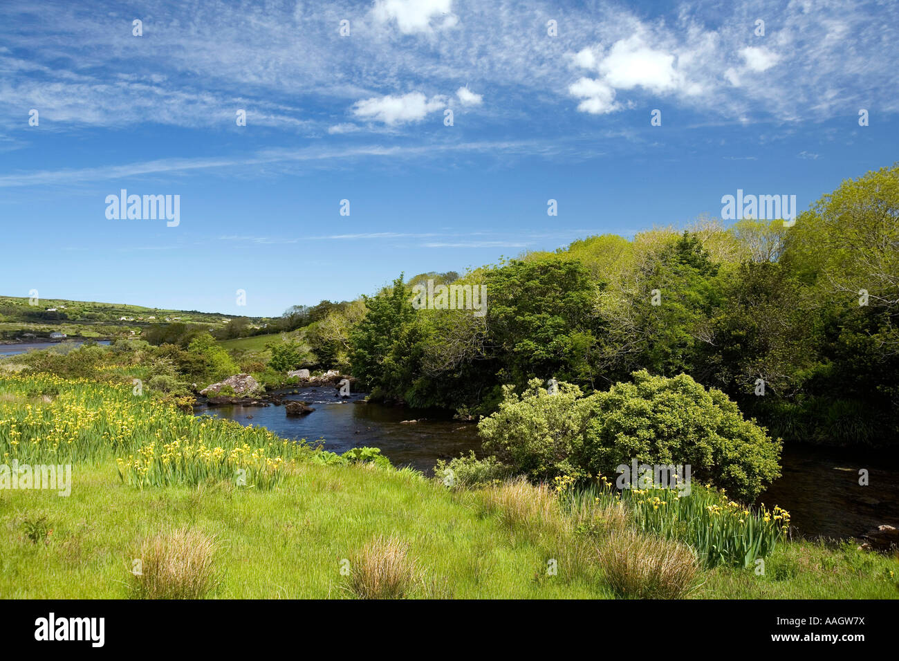 Ireland County Kerry Dingle Peninsula Cloghane river flowing into ...