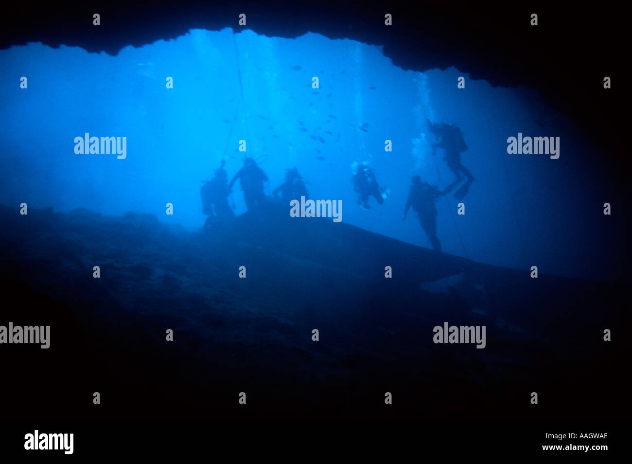 Divers prepare to enter cave Blue Grotto North Florida USA Stock Photo ...