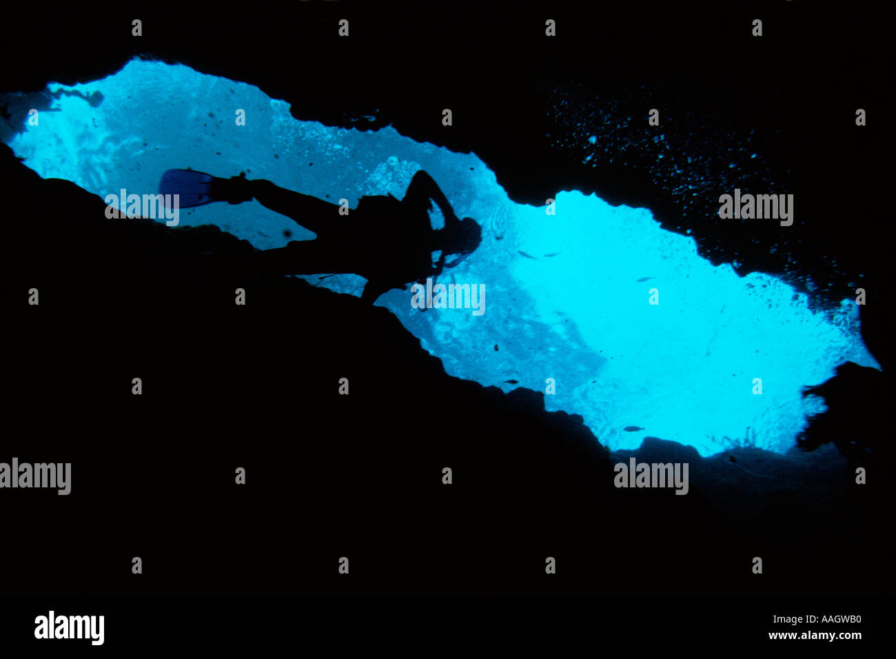 Diver silhouette in freshwater cave entrance Devil s Spring Florida USA ...