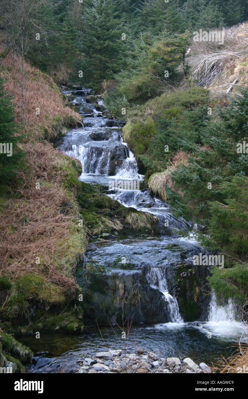 Severn river hafren hi-res stock photography and images - Alamy