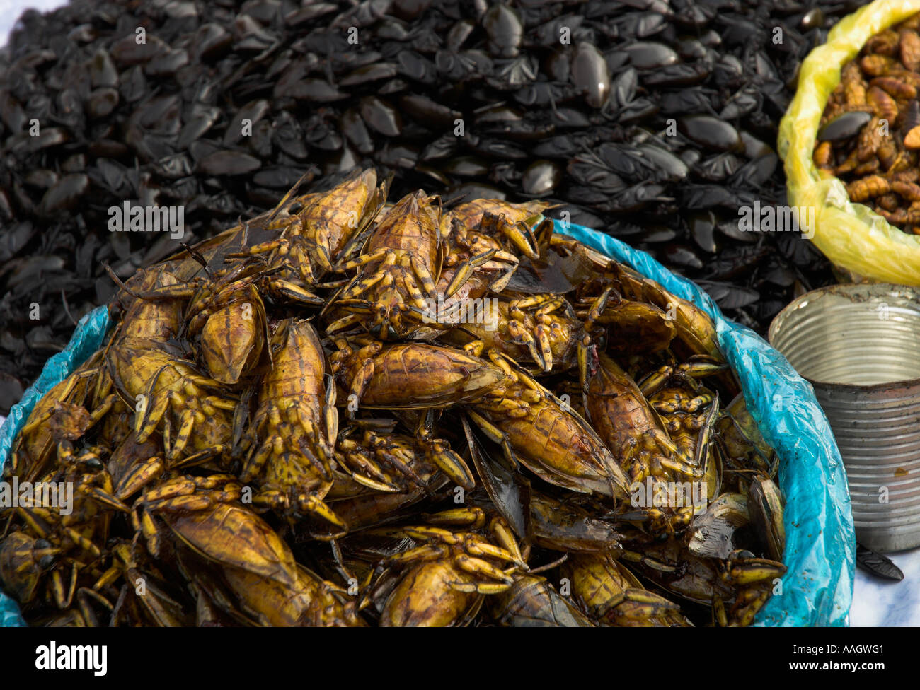 Cambodia insect food street hi-res stock photography and images - Alamy