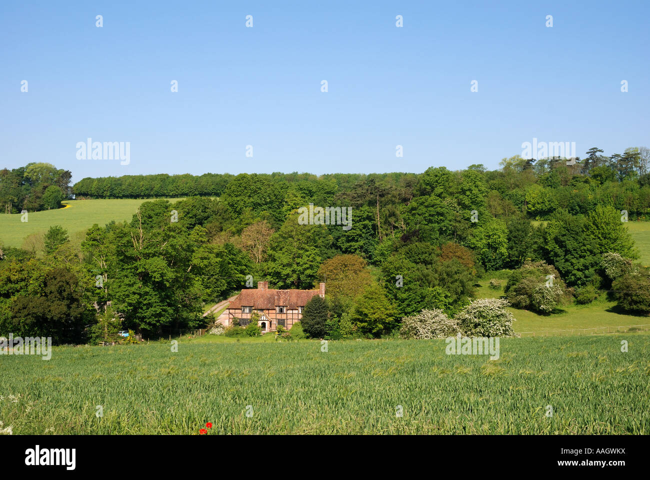 Tappington hall farm kent hi-res stock photography and images - Alamy