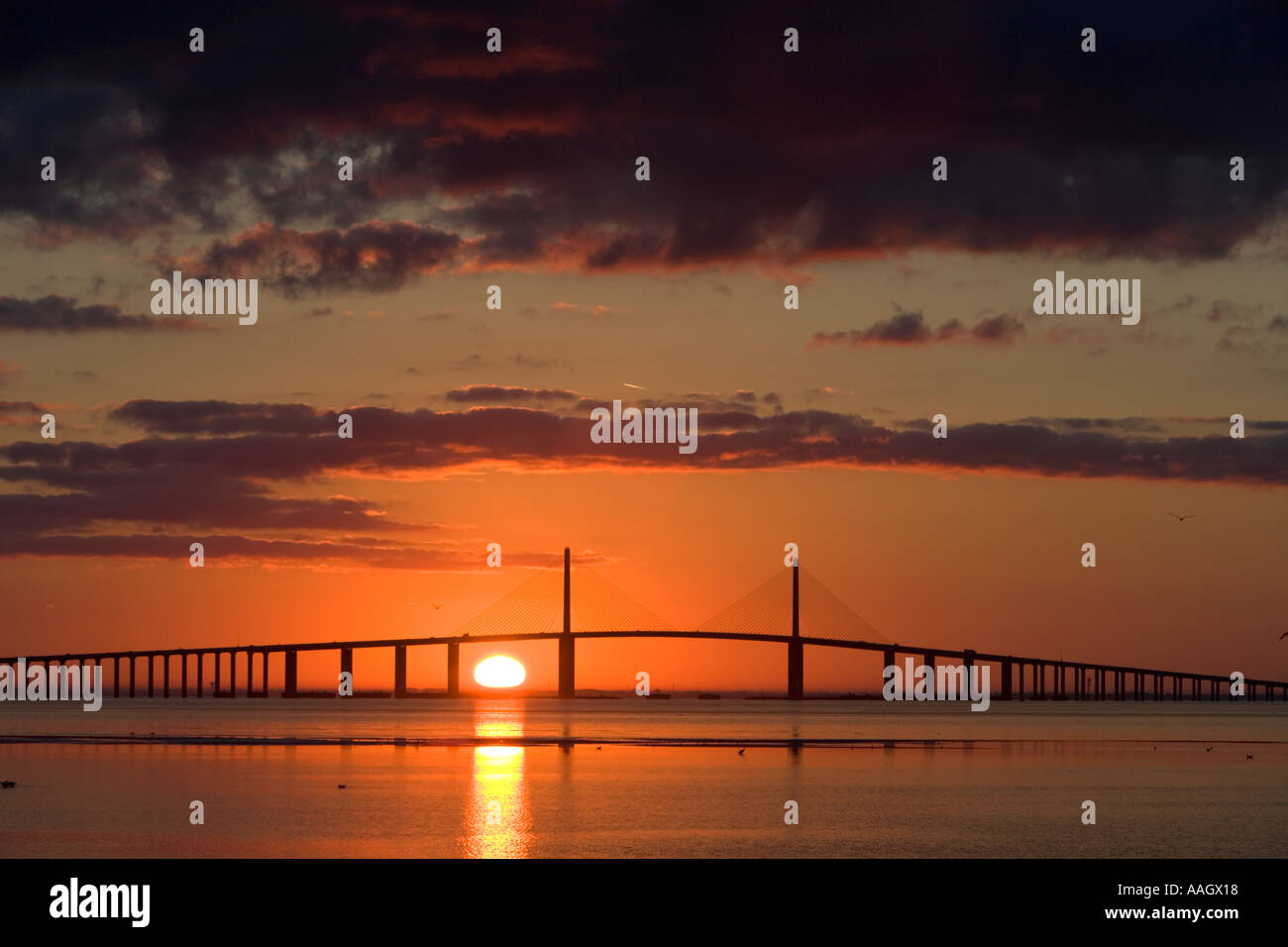 Sunshine skyway bridge silhouette hi-res stock photography and images ...