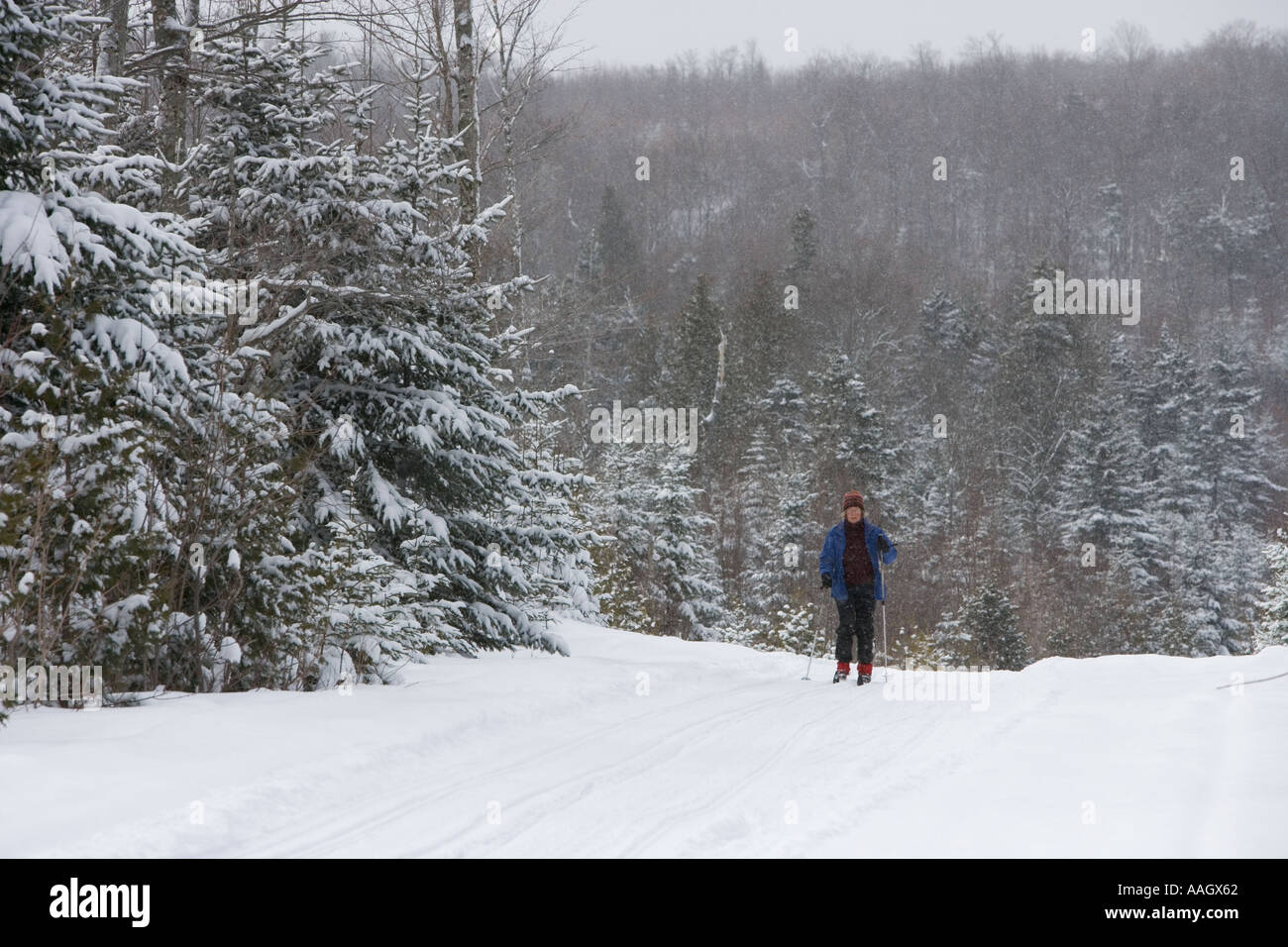 Appalachian mountain logging hi-res stock photography and images - Alamy