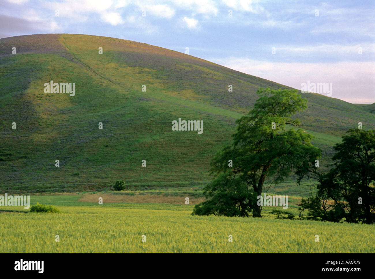 Eastern countryside hi-res stock photography and images - Alamy