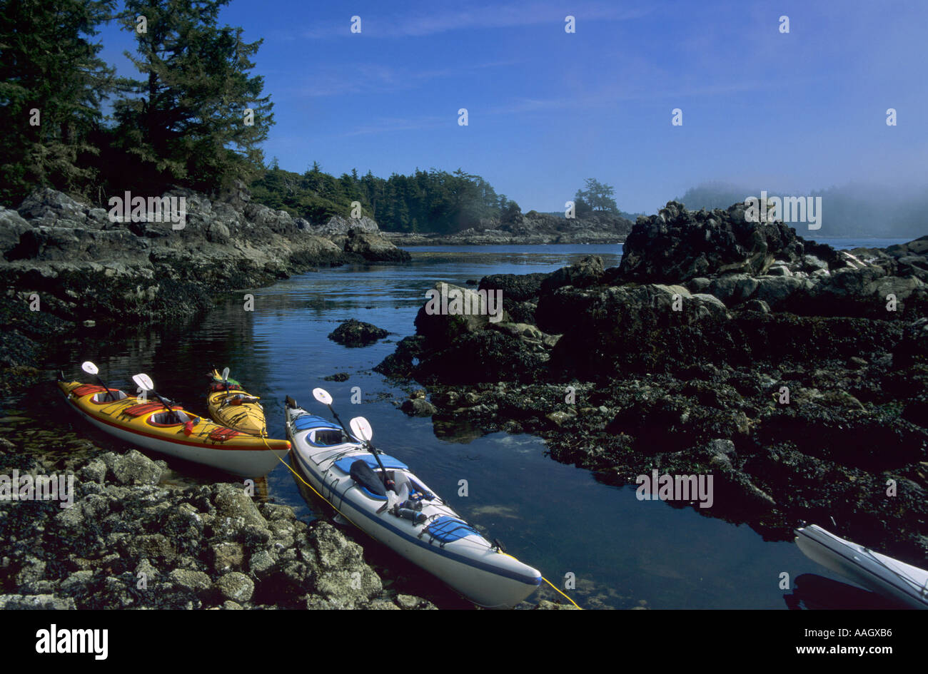 Kayaks in broken islands group hi-res stock photography and images - Alamy