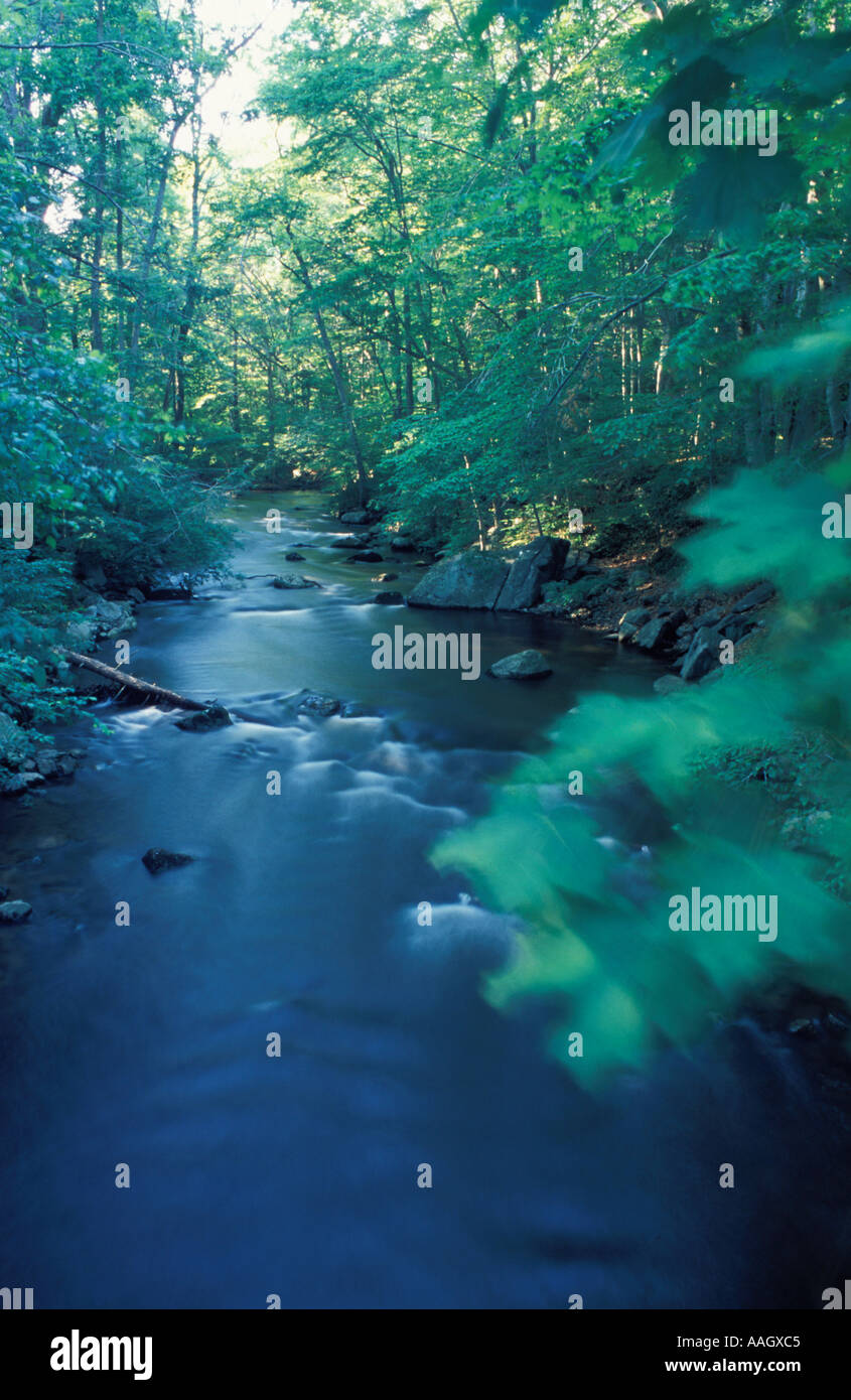 The Mianus River at the Treetops Estate Purchased by the TPL for the ...