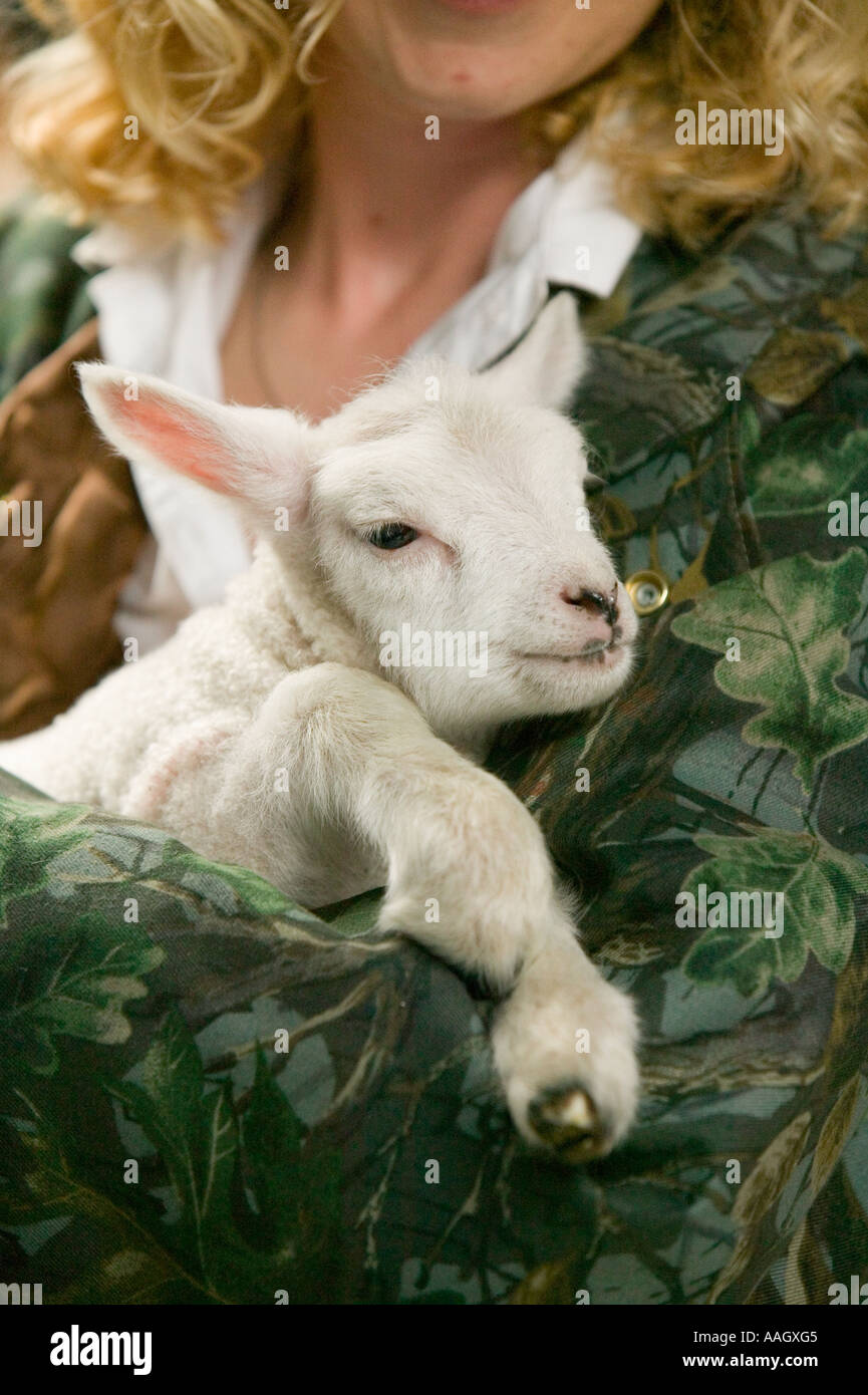 a farmers wife with an orphaned lamb Stock Photo - Alamy