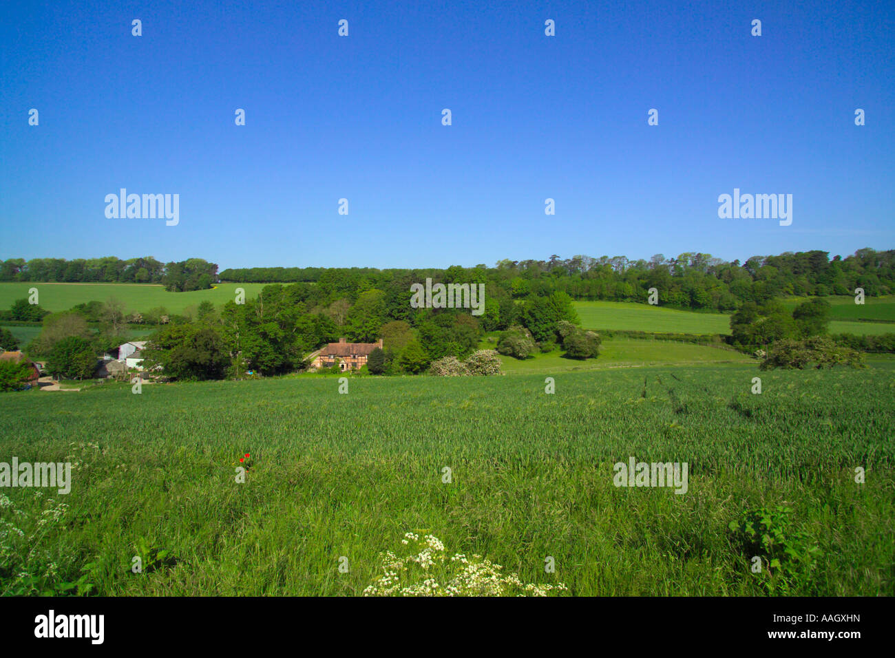 Tappington hall farm kent hi-res stock photography and images - Alamy