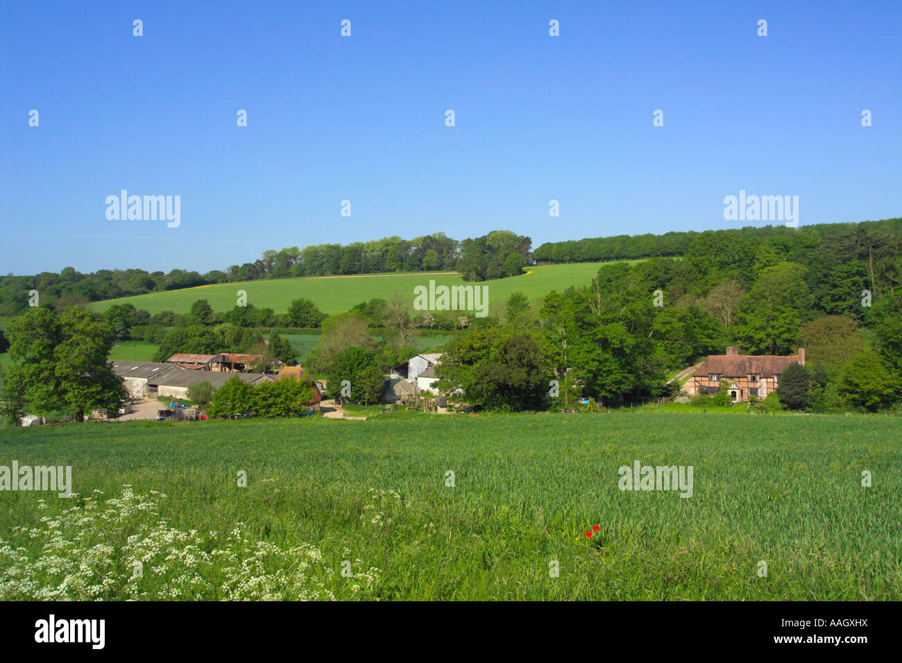 Tappington hall farm kent hi-res stock photography and images - Alamy