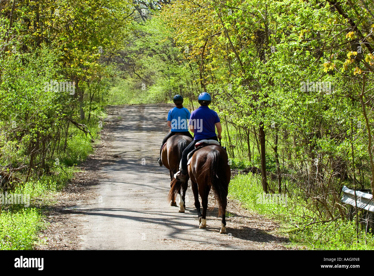 Country ro hi-res stock photography and images - Alamy