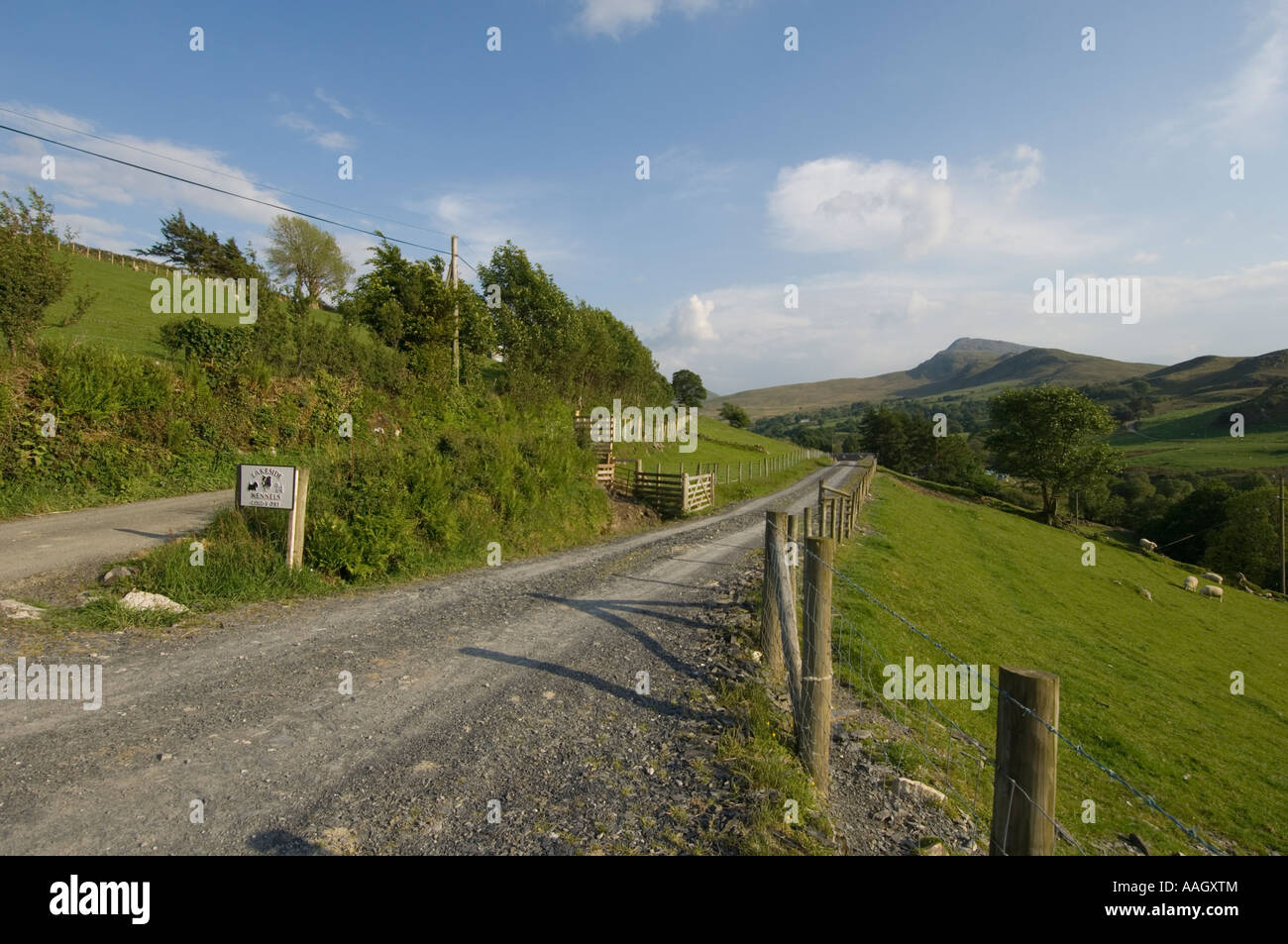 Aran Fawddwy mountains seen from Cwm Cynllwyd valley summer evening ...