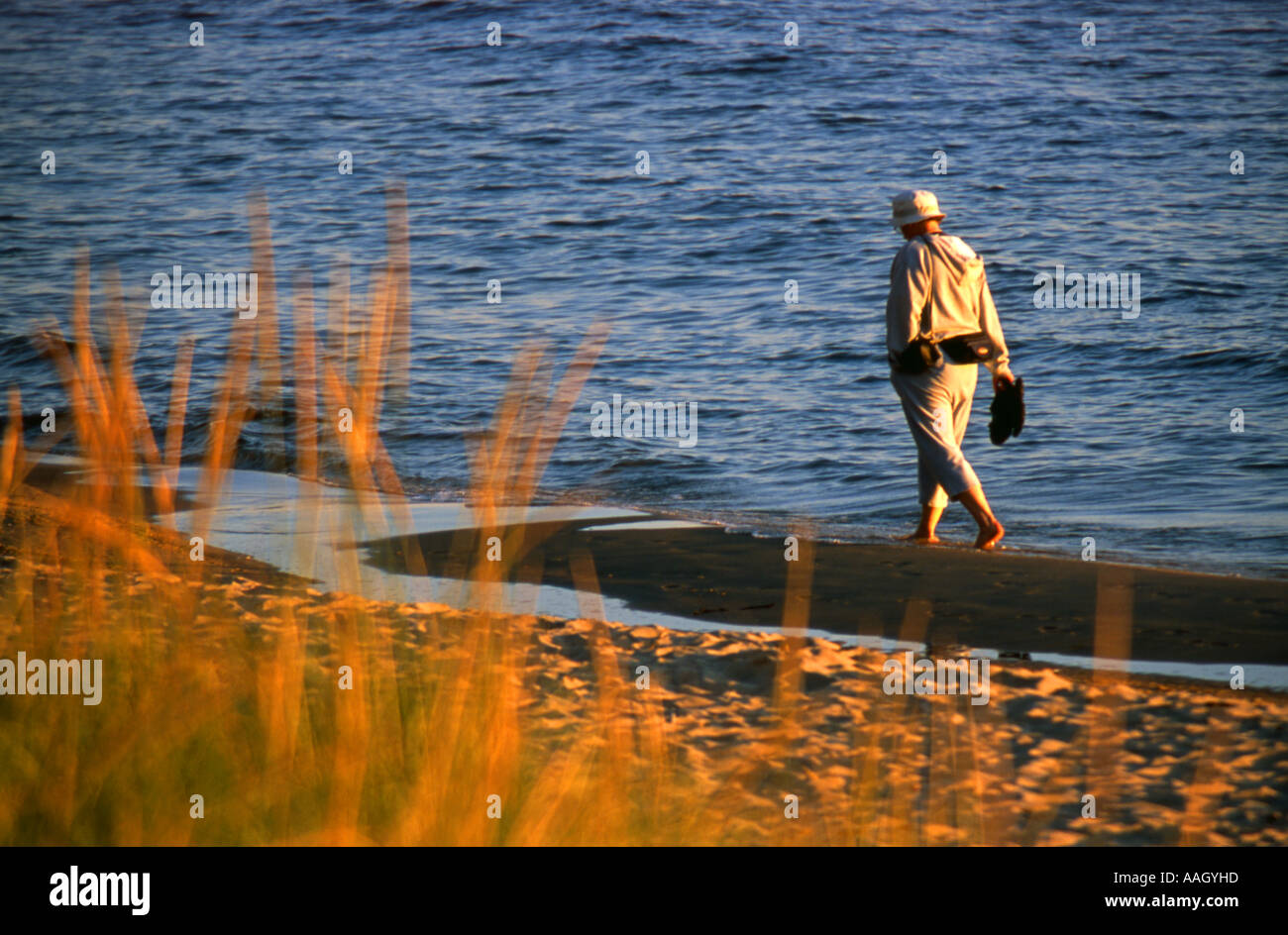 Carories hi-res stock photography and images - Alamy