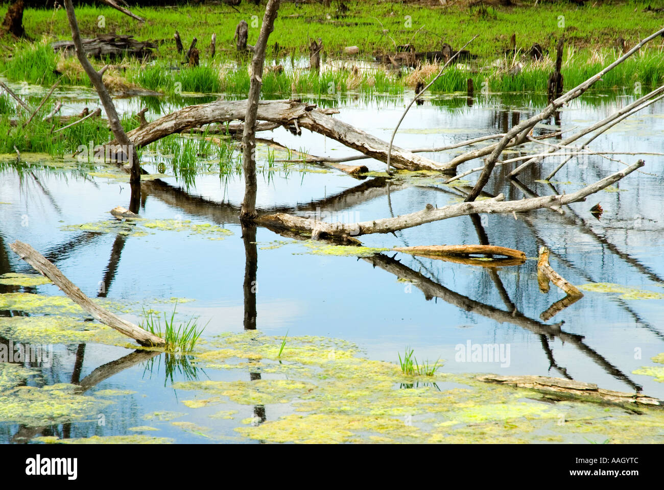Morraine hills hi-res stock photography and images - Alamy