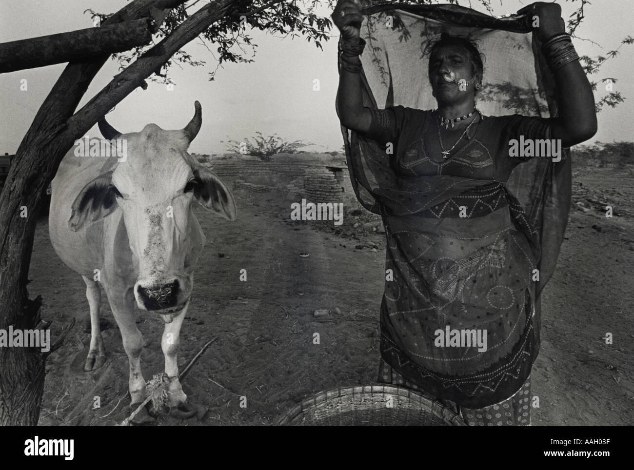 Bishnoi tribes hi-res stock photography and images - Alamy